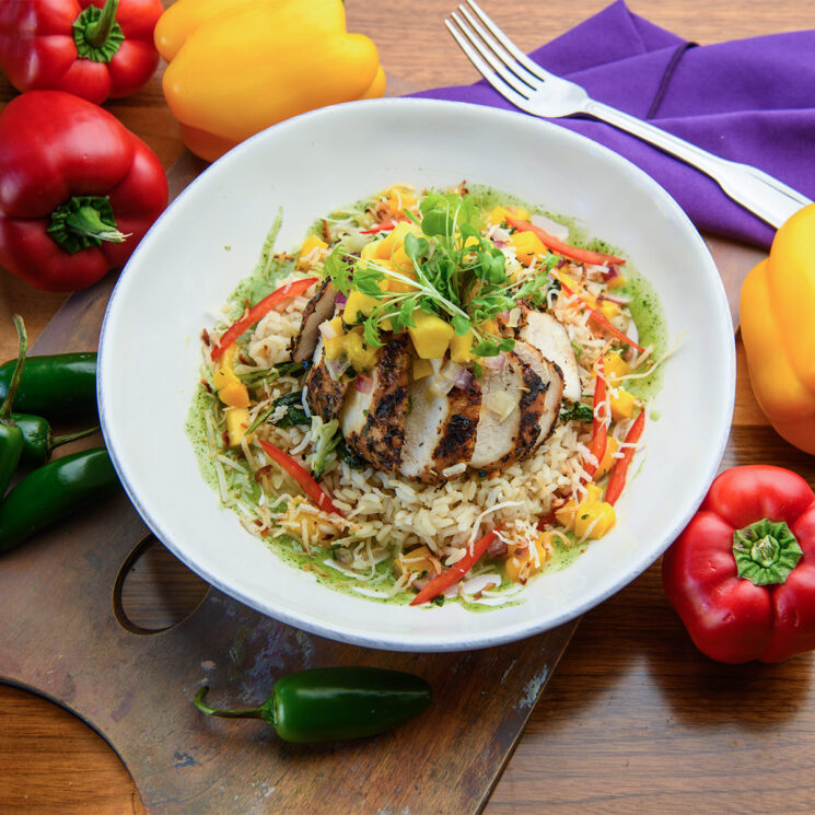 UCSD Menu - University of California San Diego